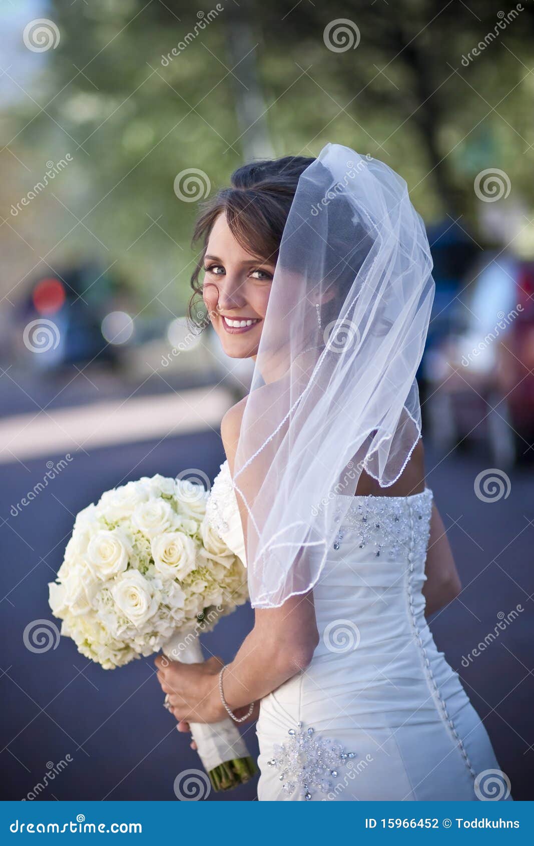 Smiling Bride stock photo. Image of outdoors, veil, marriage - 15966452