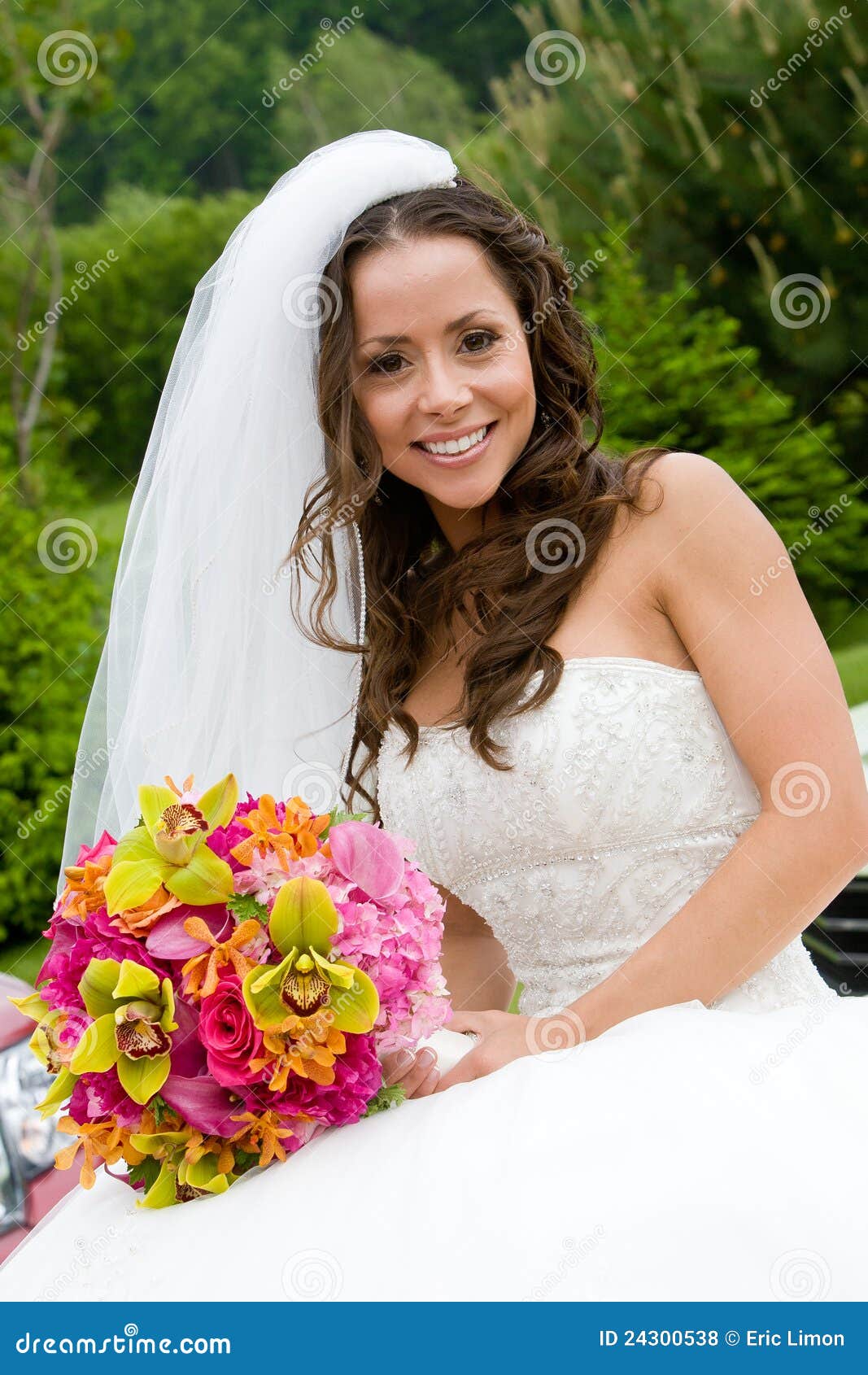 Smiling bride stock photo. Image of bridal, women, smile - 24300538