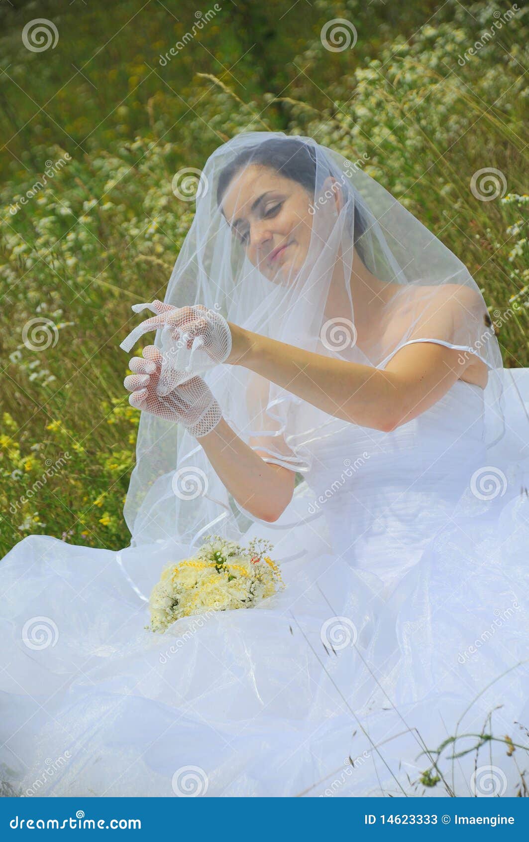 Smiling bride portrait stock image. Image of beauty, meadow - 14623333