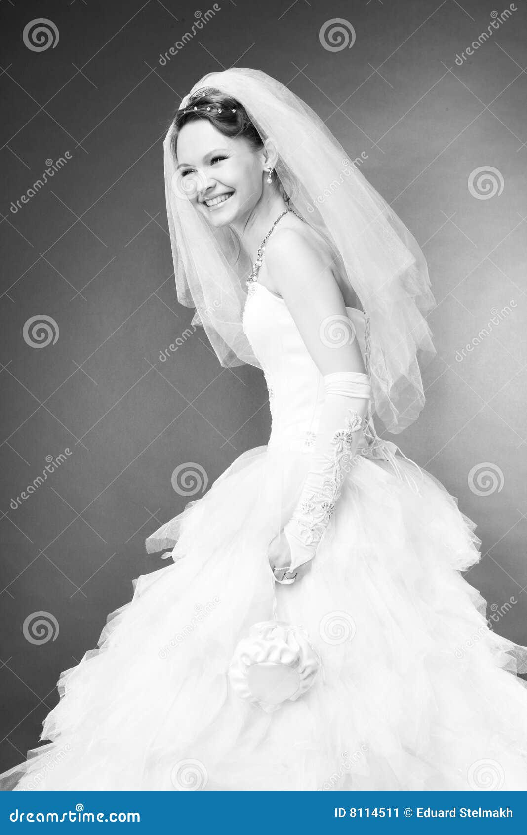 Smiling Bride in the Studio Stock Image - Image of luxury, lady: 8114511