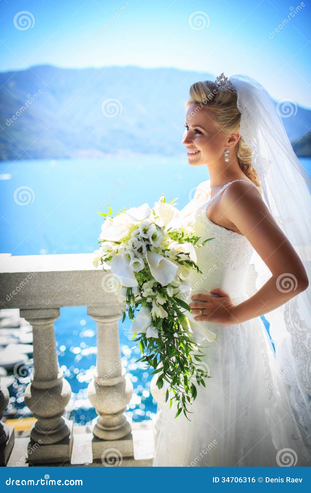 Smiling bride stock photo. Image of caucasian, hair, veil - 34706316