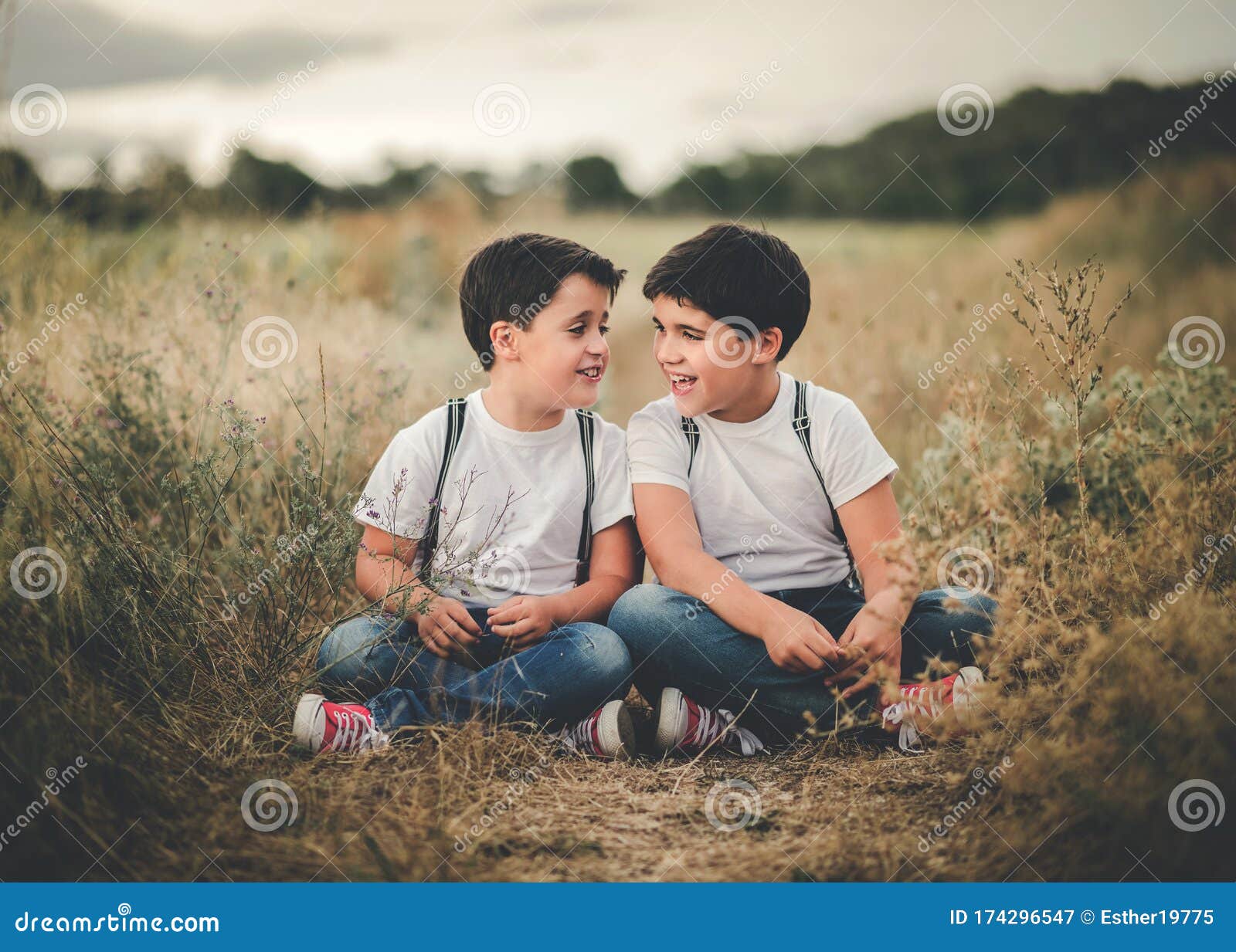 Smiling Brothers Sitting in the Field Stock Image - Image of friendship ...