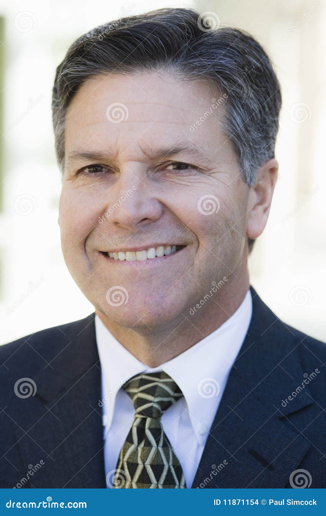 Smiling Businessman stock photo. Image of vertical, portrait - 11871154