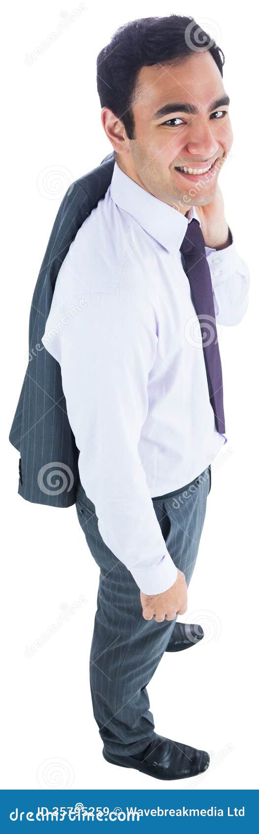 Smiling Businessman Standing Stock Image - Image of camera, dressed ...