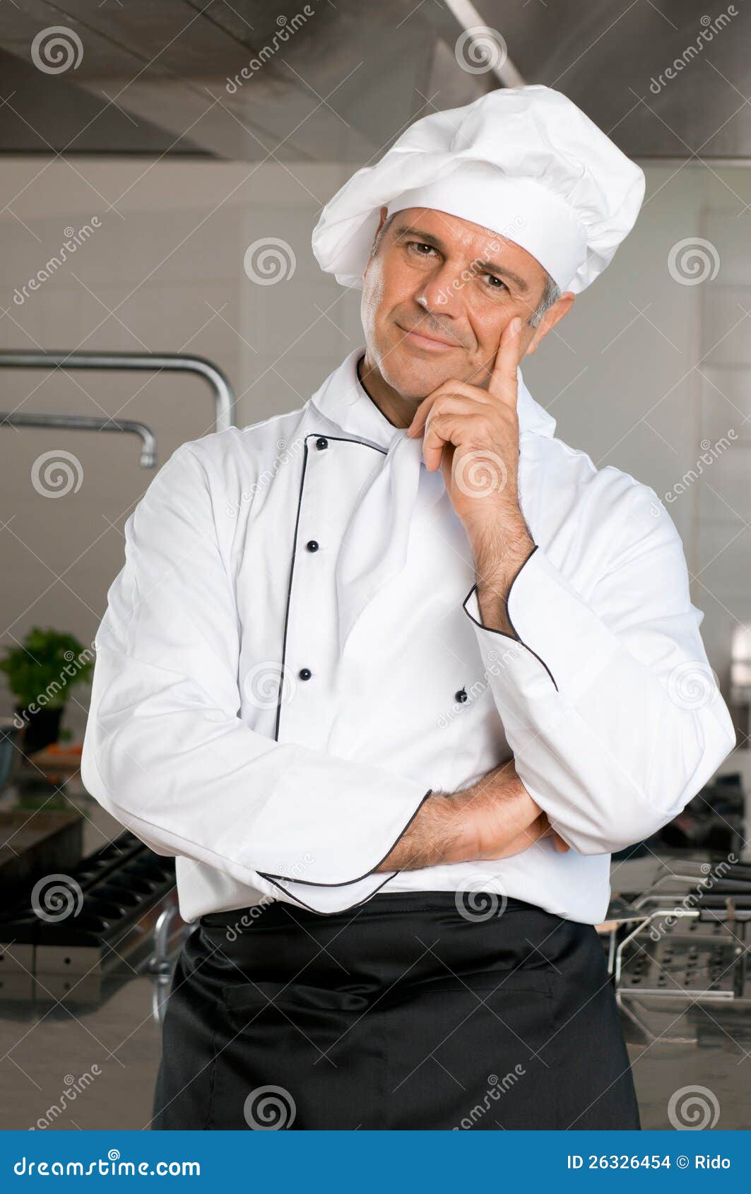 Smiling chef at restaurant stock photo. Image of cook - 26326454