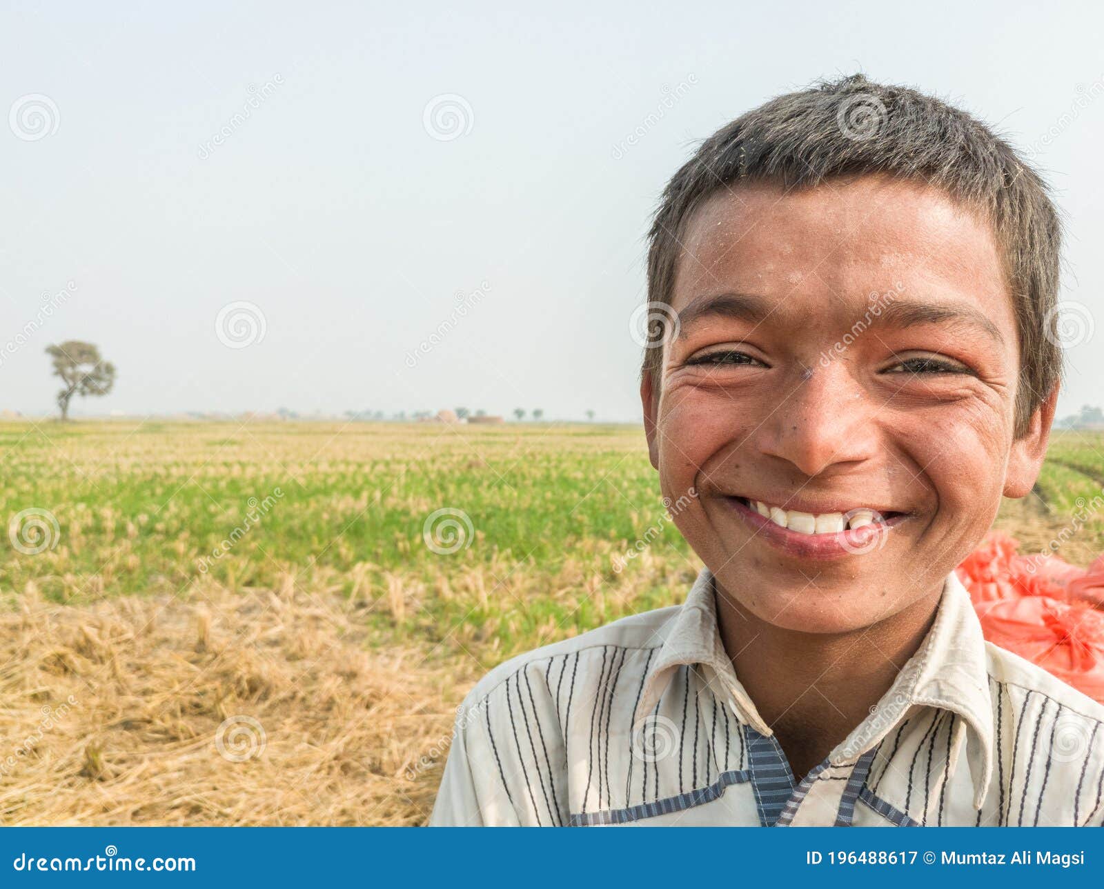 Smiling Child Standing Outside in Sunny Day Stock Image - Image of ...
