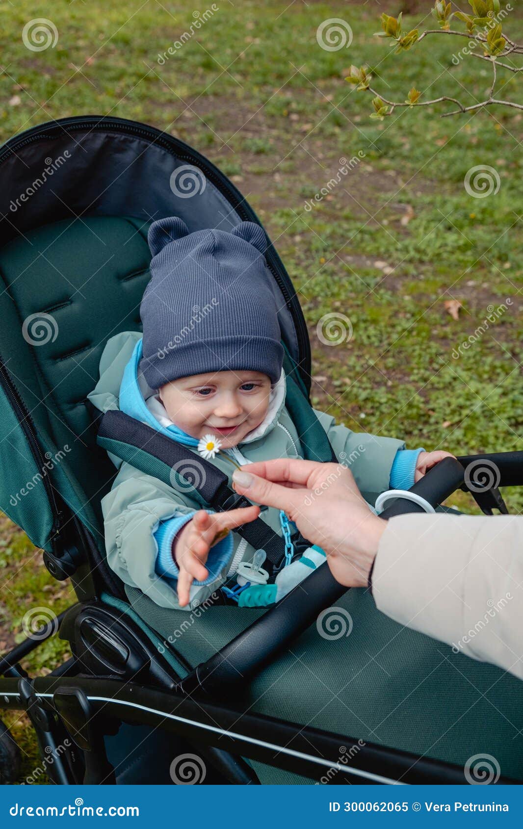 Smiling Child in Stroller Reaching for a Flower in Spring Park Stock ...
