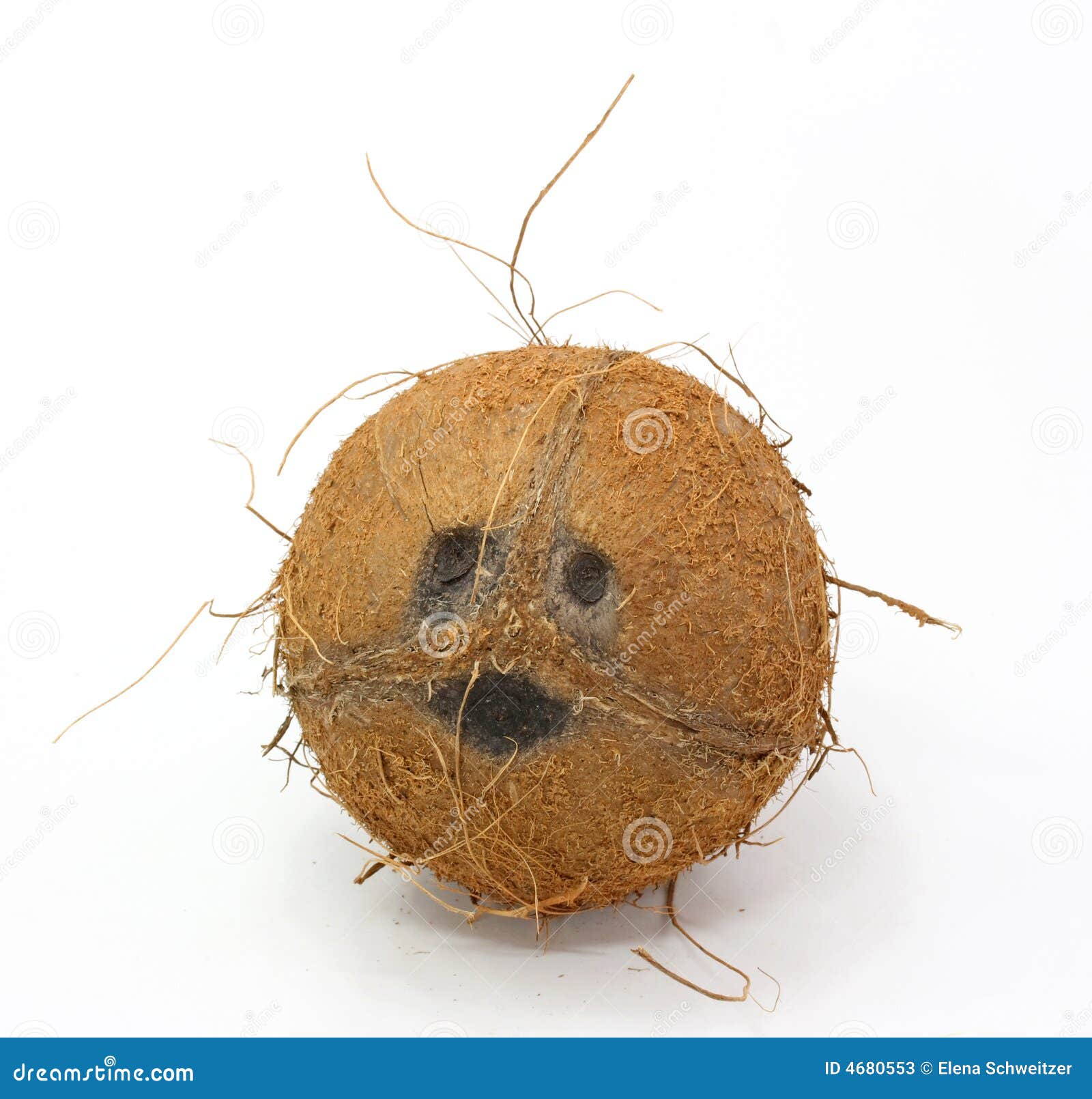 Smiling coconut on white stock image. Image of macro, ingredient - 4680553