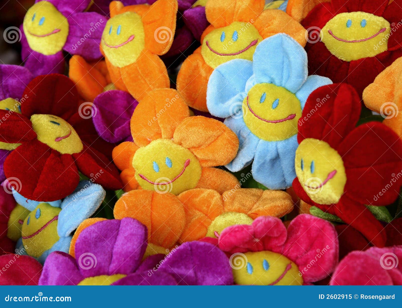 Smiling colourful flowers stock image. Image of gathering - 2602915