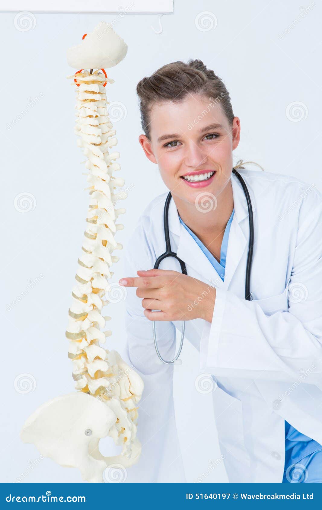 Smiling Doctor Pointing An Anatomical Spine Stock Image - Image of ...