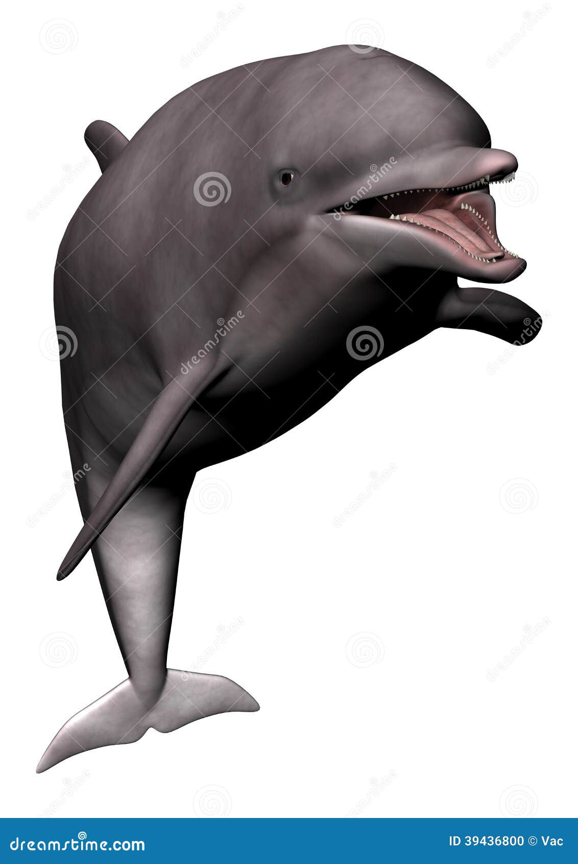 Smiling Dolphin stock illustration. Illustration of mammal - 39436800