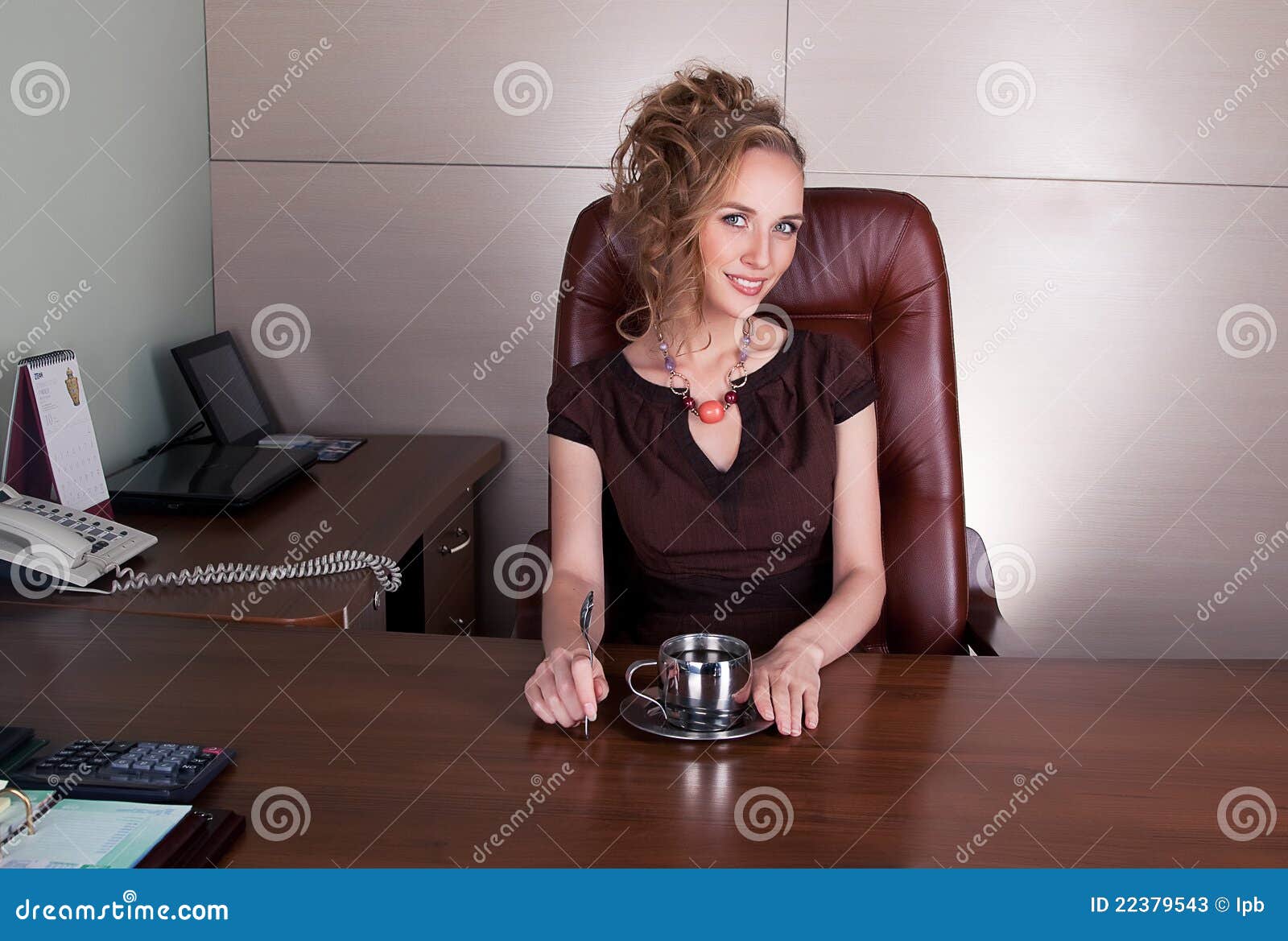 Smiling Elegant Lady in the Work Office Stock Image - Image of apparel ...