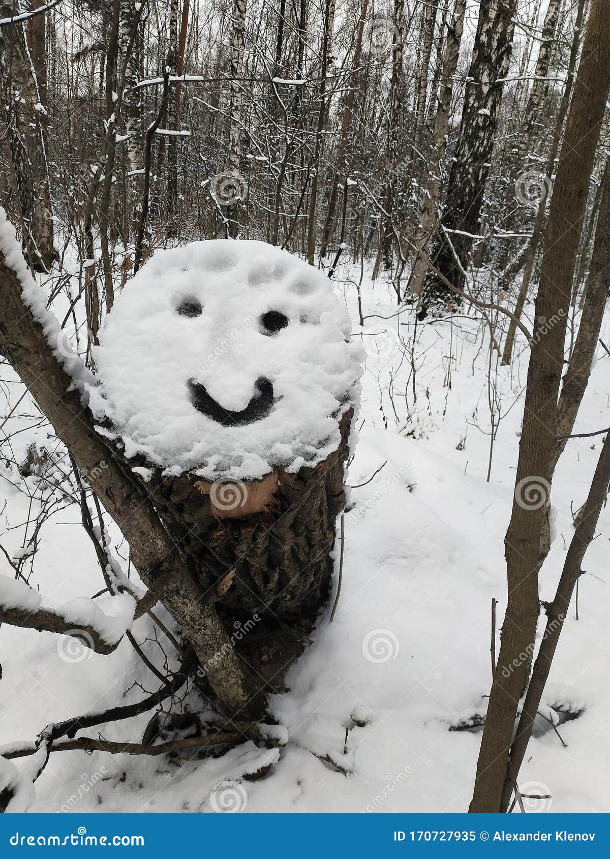 A Smiling Emoticon is Painted on the Snow in the Forest Stock Image ...