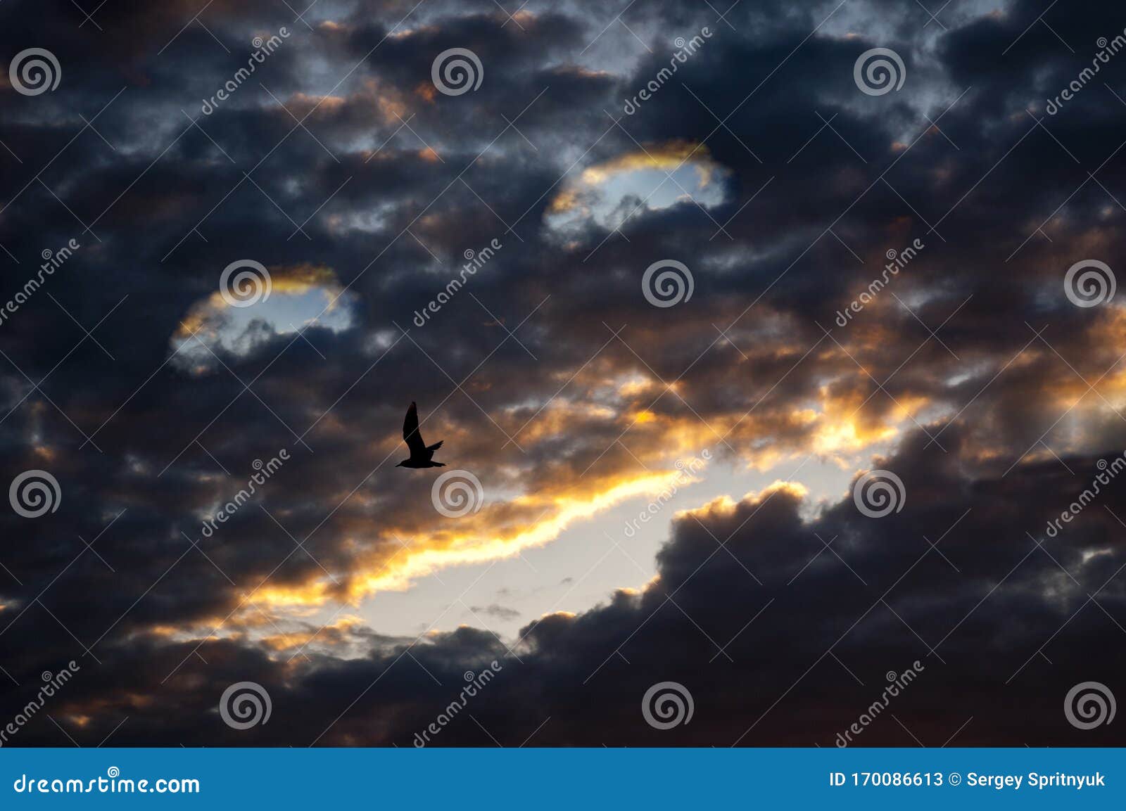 Smiling Face from the Clouds in the Sky with a Flying Bird Stock Image ...