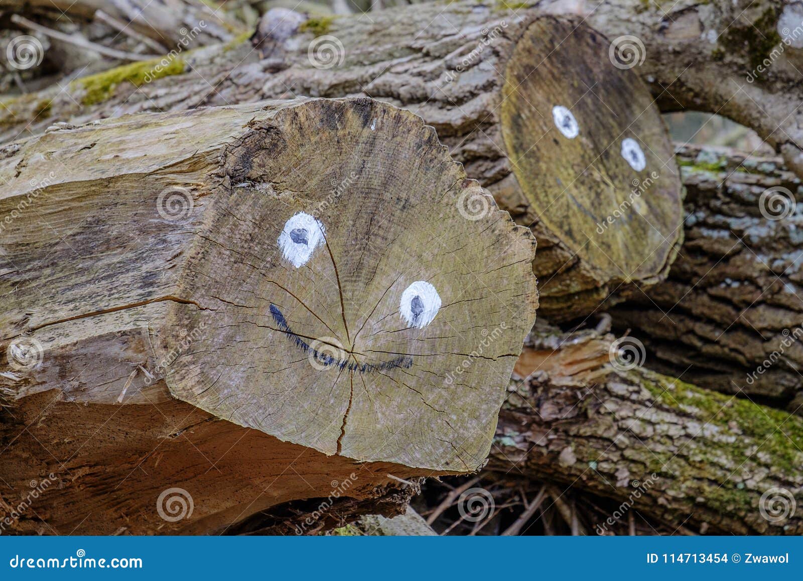 Smiling face on logs stock photo. Image of face, growth - 114713454