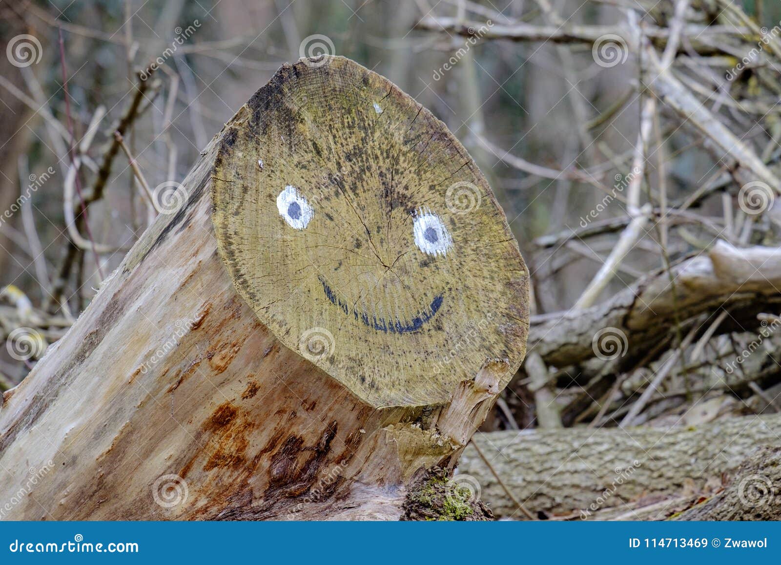 Smiling face on logs stock image. Image of face, background - 114713469