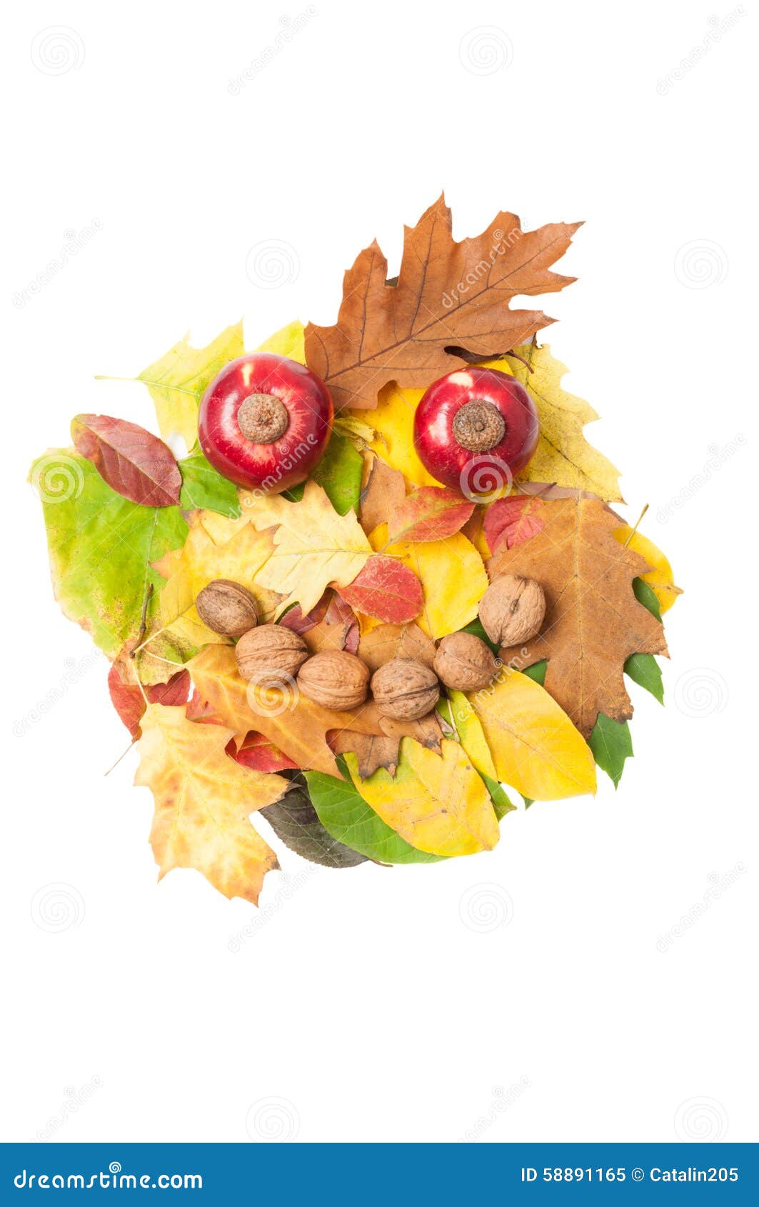 Smiling Face Made of Autumn Fall Leaves and Fall Decorations Stock ...