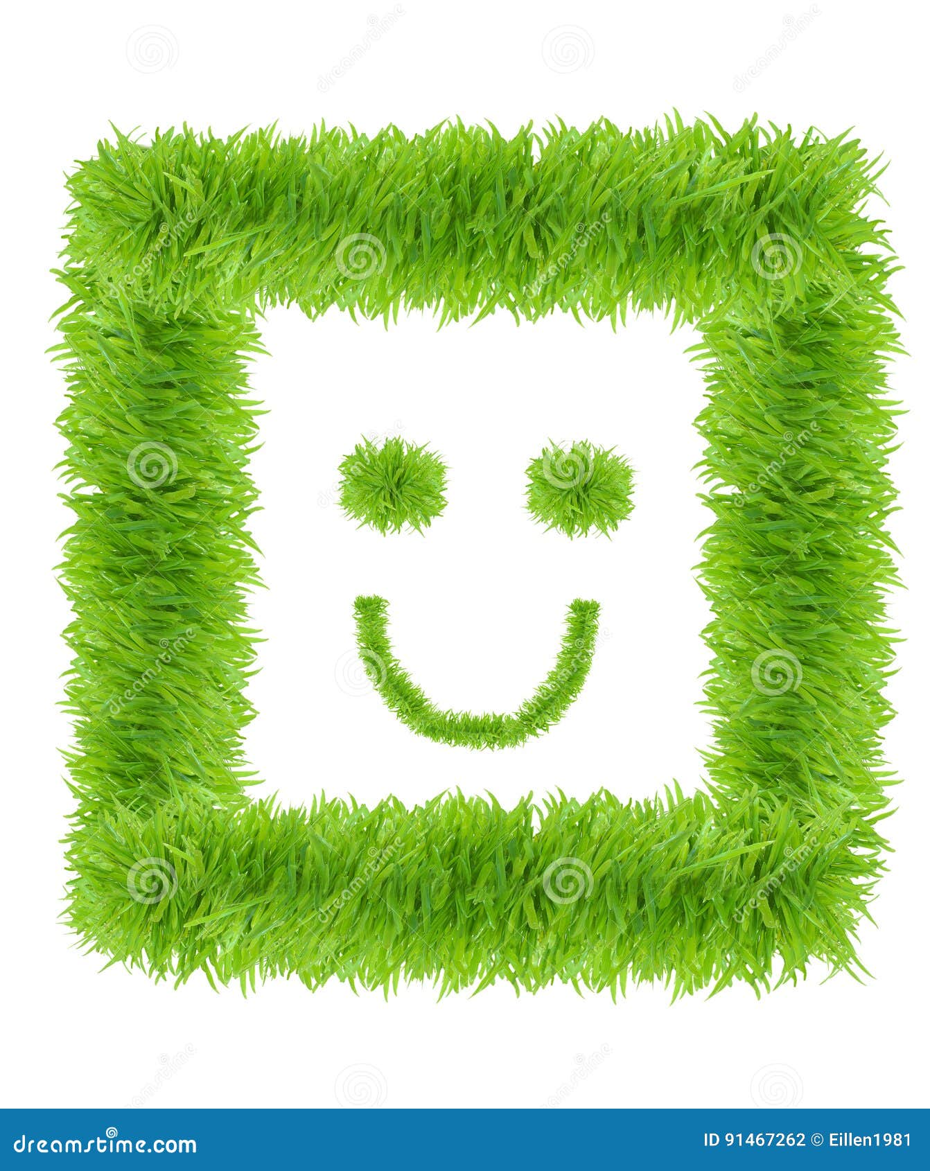Smiling Face Made from Green Grass Isolated Stock Illustration ...