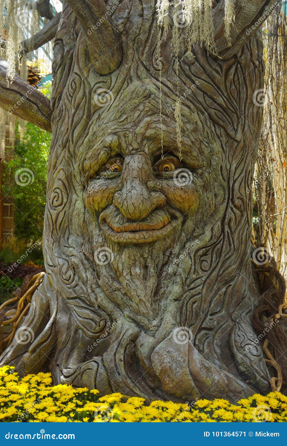 Troll Face Tree Trunk Bark stock image. Image of fairytale - 101364571