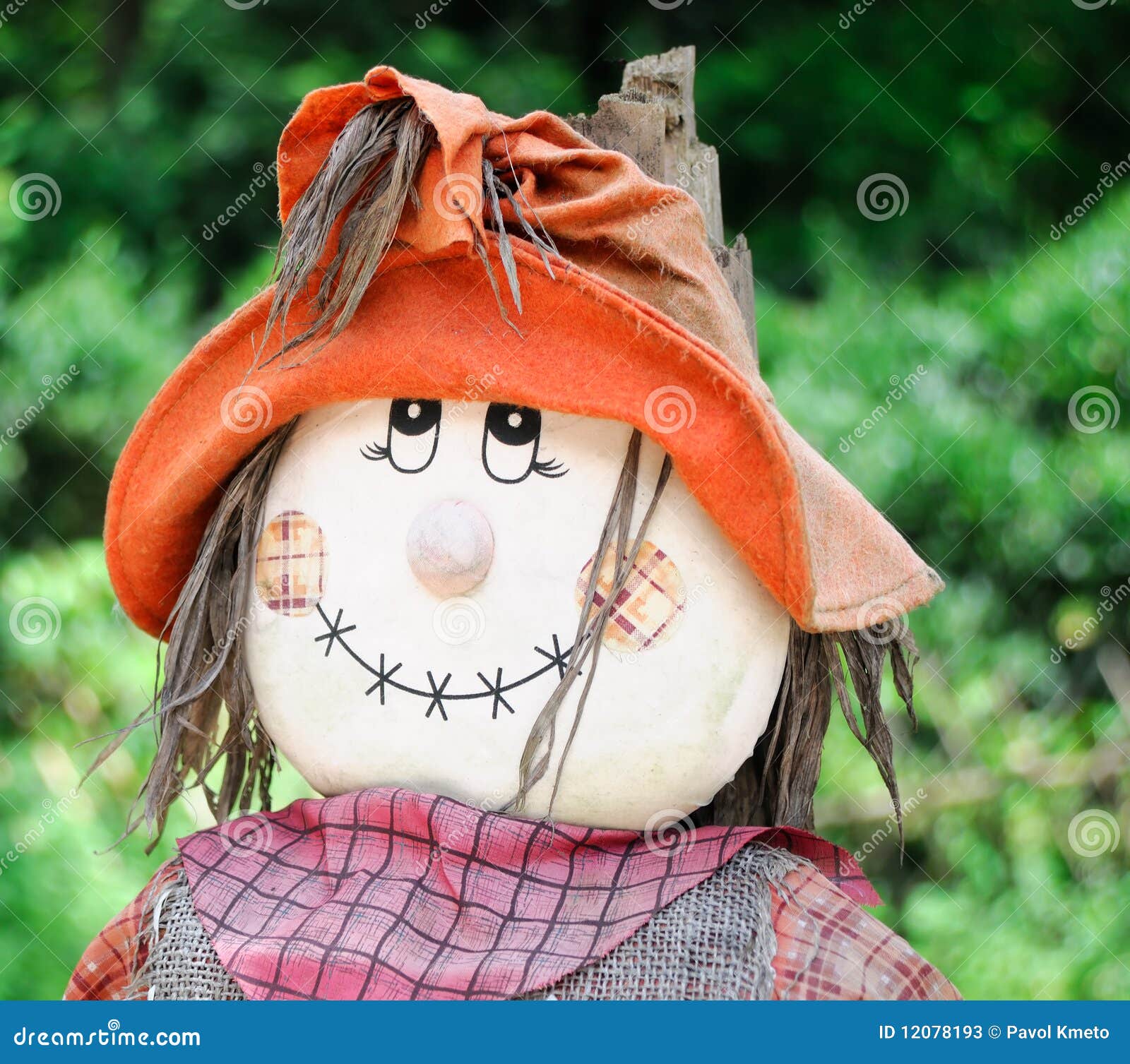 Scarecrow Face Smile Stock Image | CartoonDealer.com #52660819