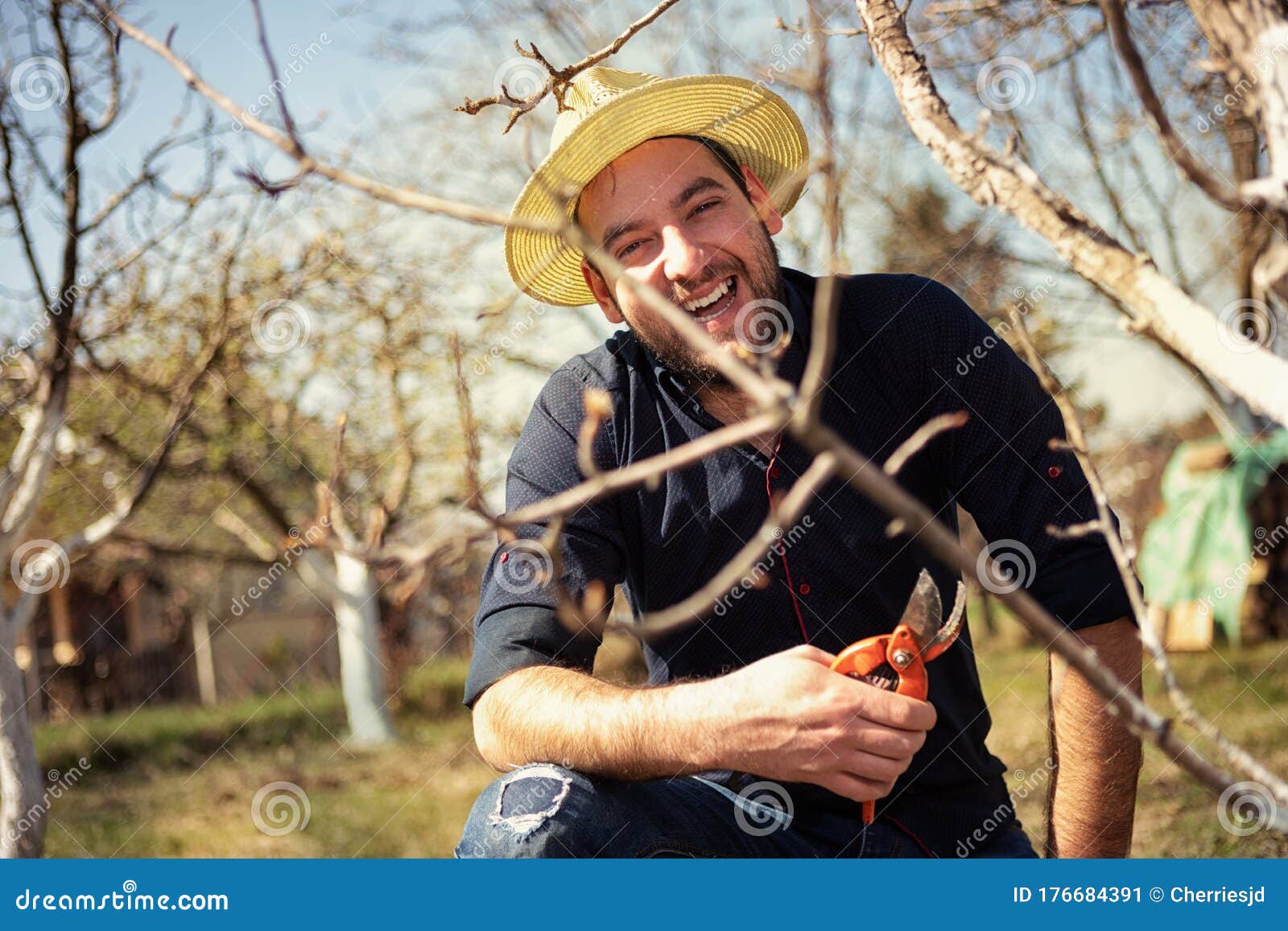 Smiling Farmer Pruning Branches of Fruit Tree Stock Image - Image of ...