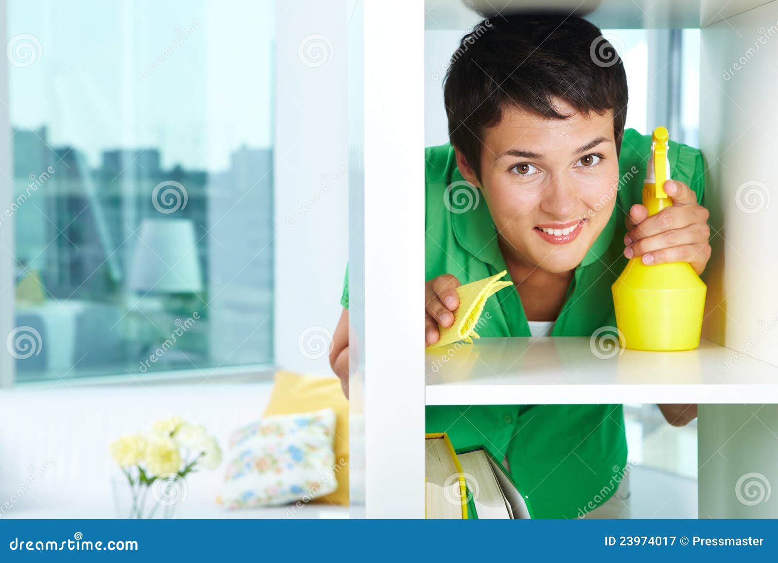 Smiling female stock image. Image of housework, housekeeper - 23974017