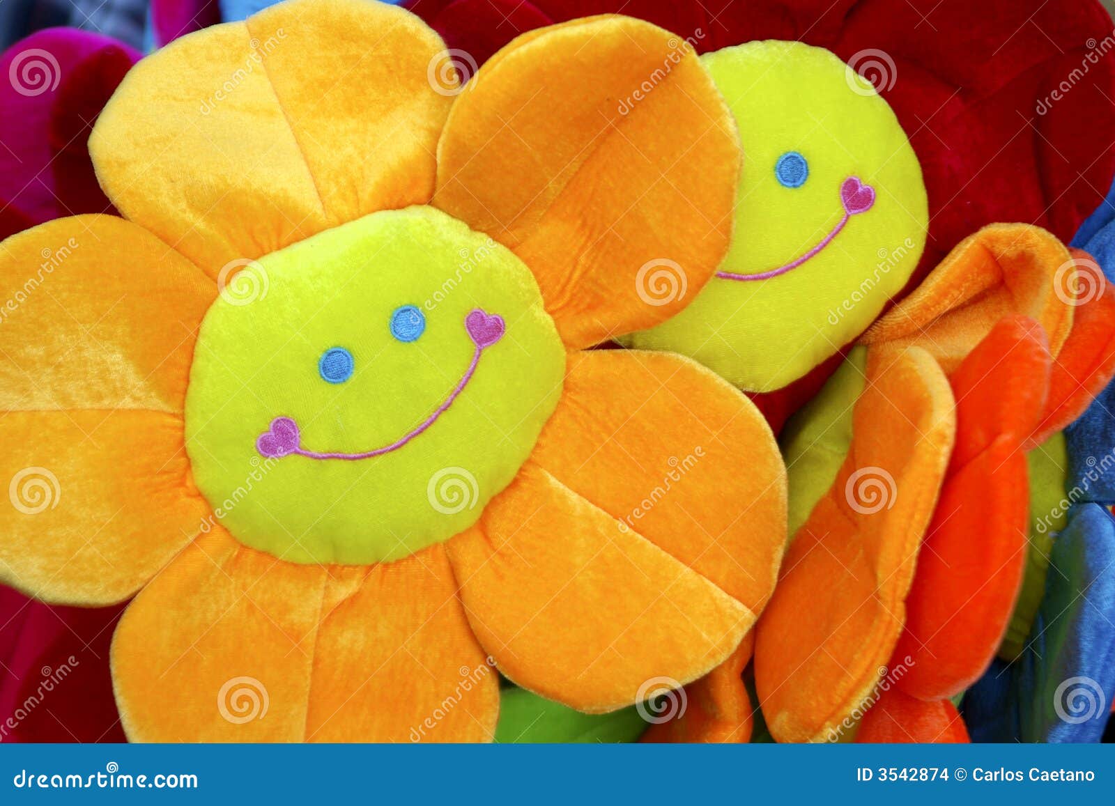 Smiling Flowers stock photo. Image of beautiful, garden - 3542874