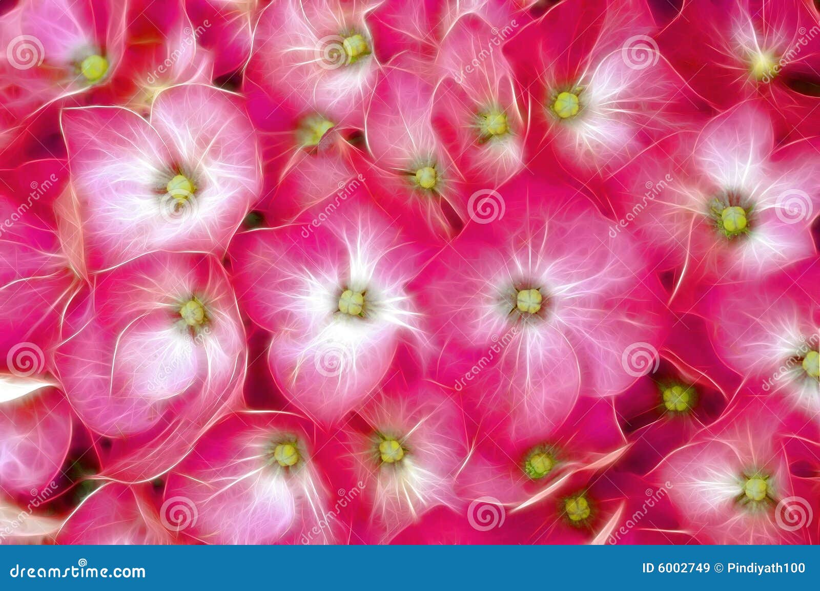 Smiling Flowers stock image. Image of garden, flowers - 6002749