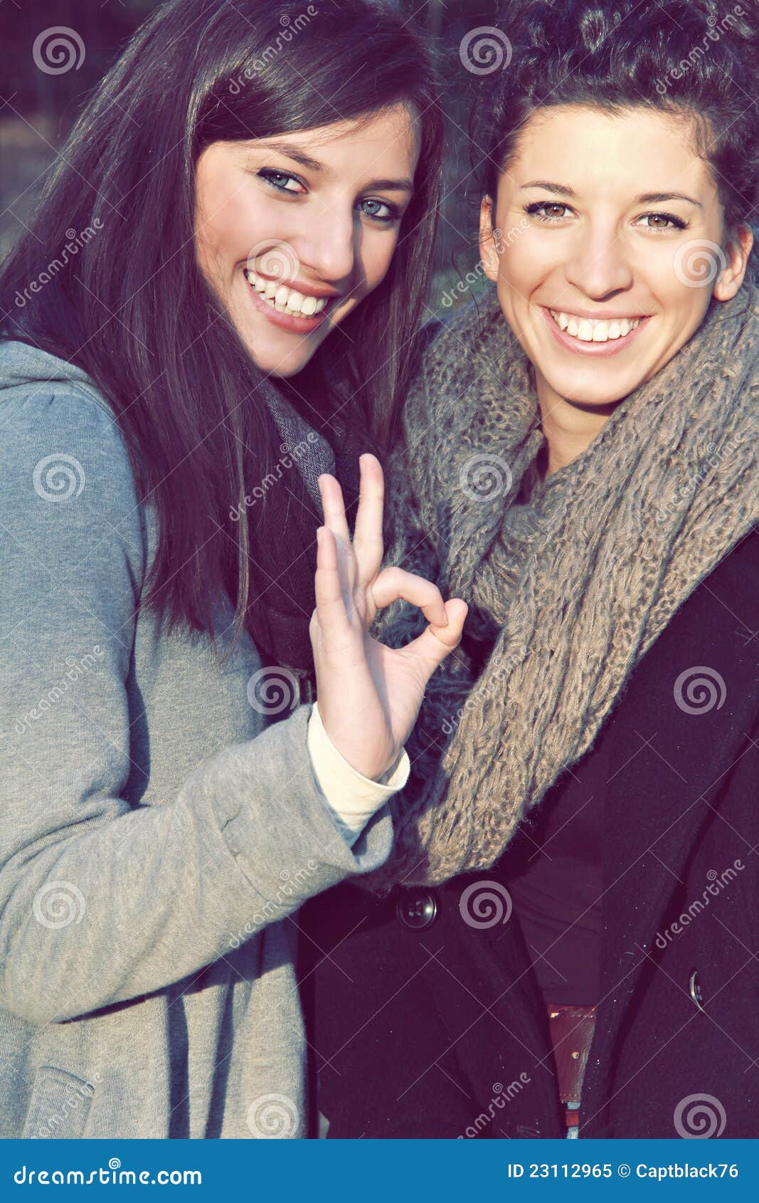 Smiling friends stock image. Image of friendship, portrait - 23112965