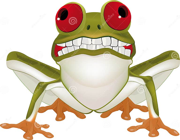 Smiling frog stock vector. Illustration of gift, anger - 14349268