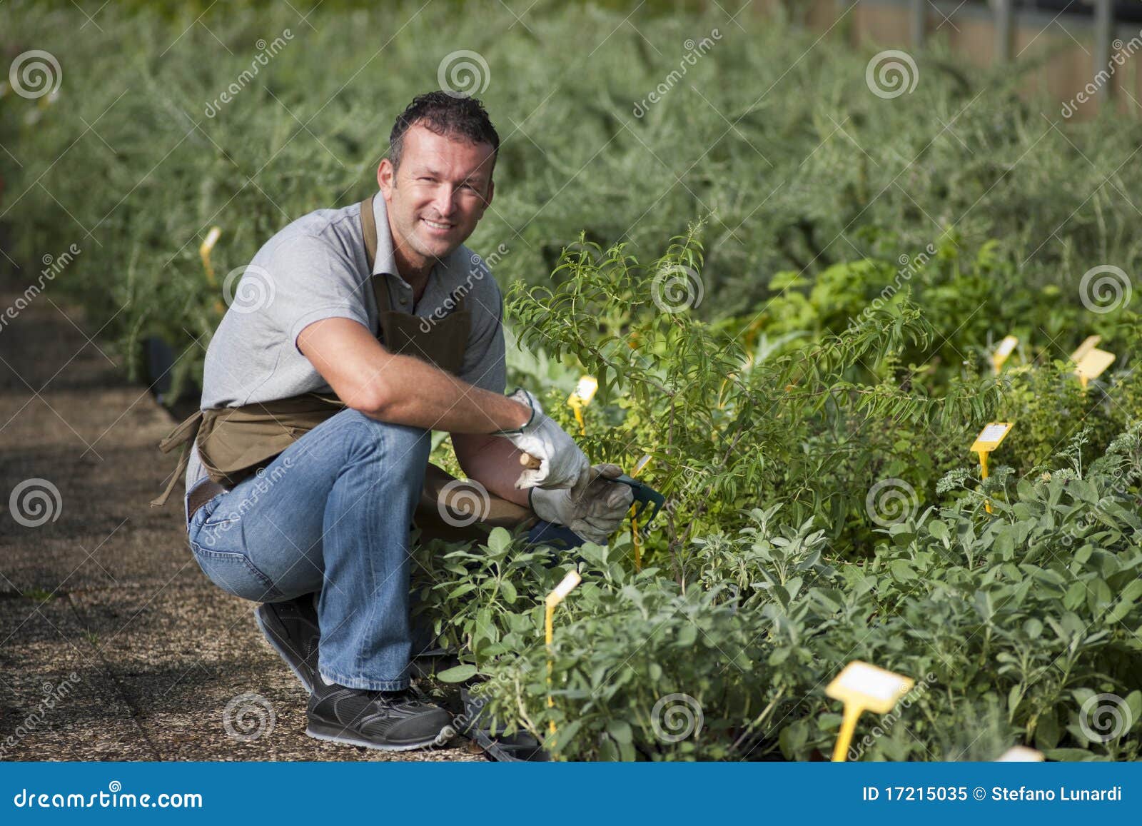 Smiling gardener stock image. Image of professional, cheerful - 17215035