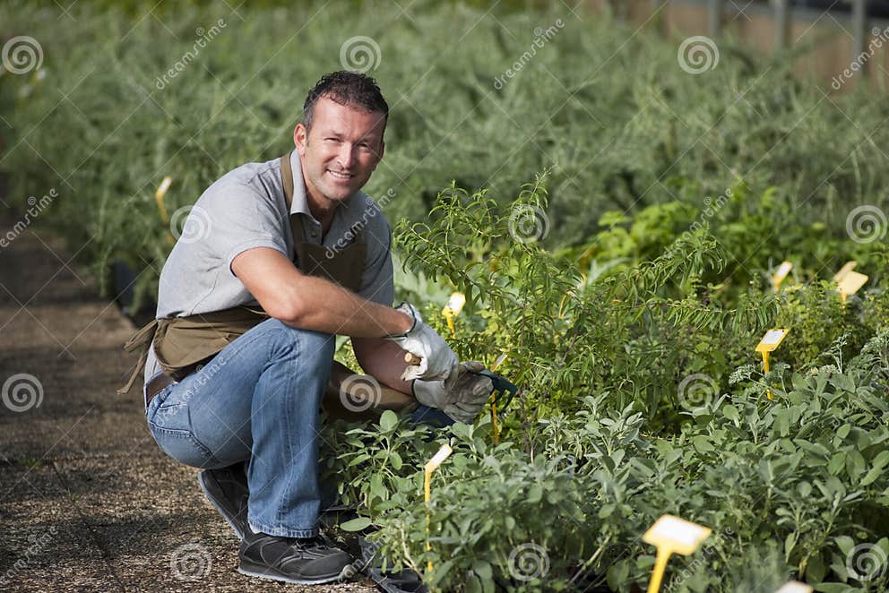Smiling gardener stock image. Image of professional, cheerful - 17215035