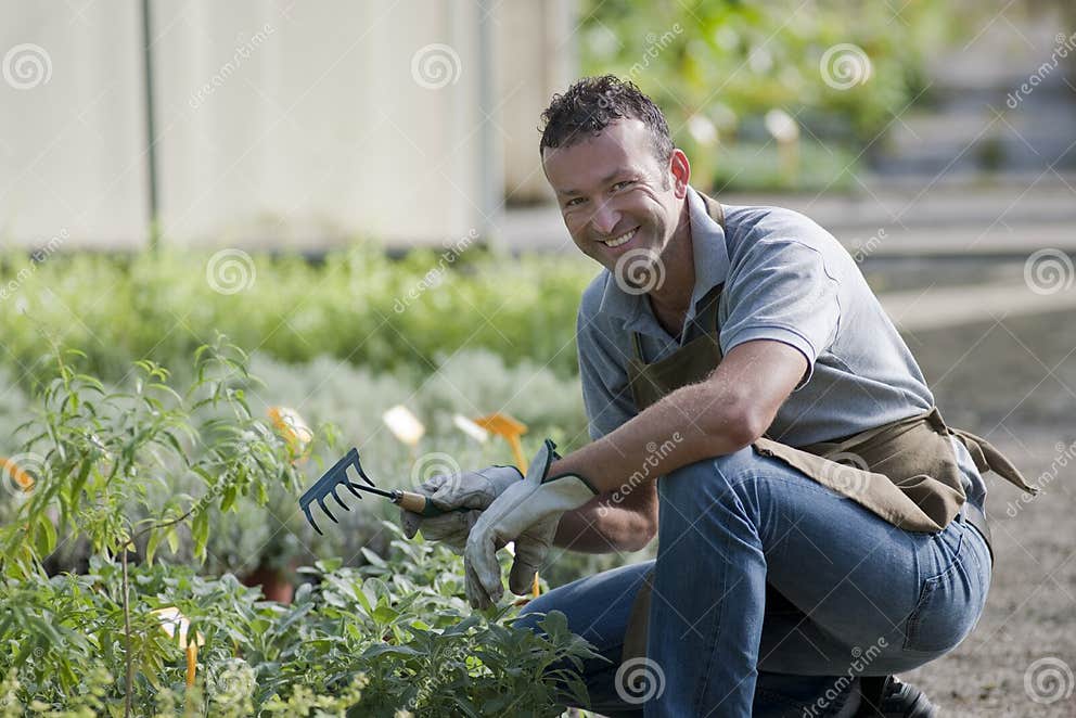 Smiling gardener stock photo. Image of looking, greenhouse - 17215164