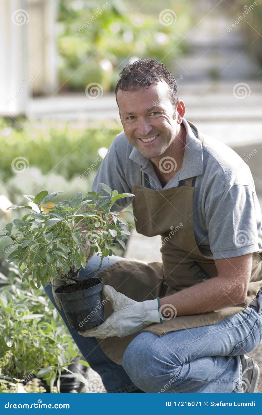 Smiling gardener stock image. Image of happiness, nursery - 17216071