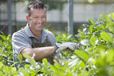 Smiling gardener stock image. Image of horizontal, freshness - 17216449