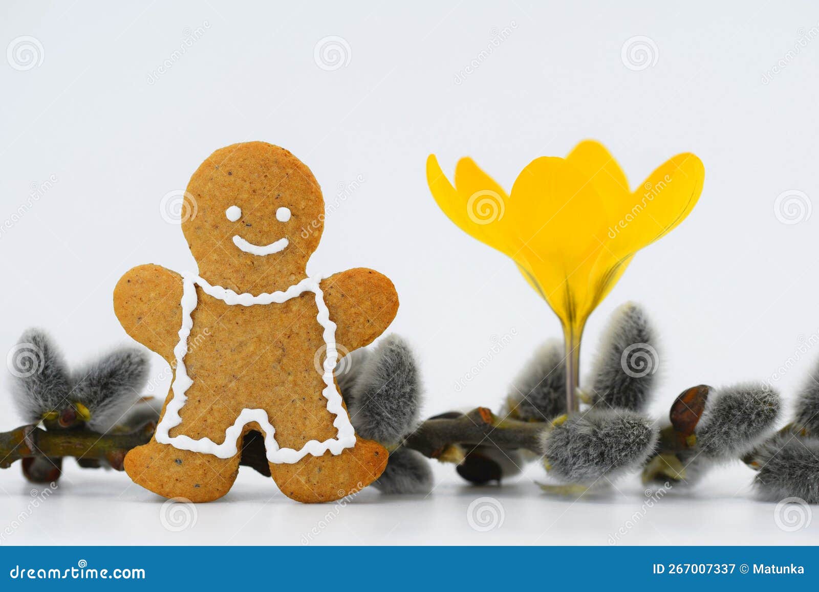 Smiling Gingerbread Man, Willow Twig and Crocus Stock Image - Image of ...