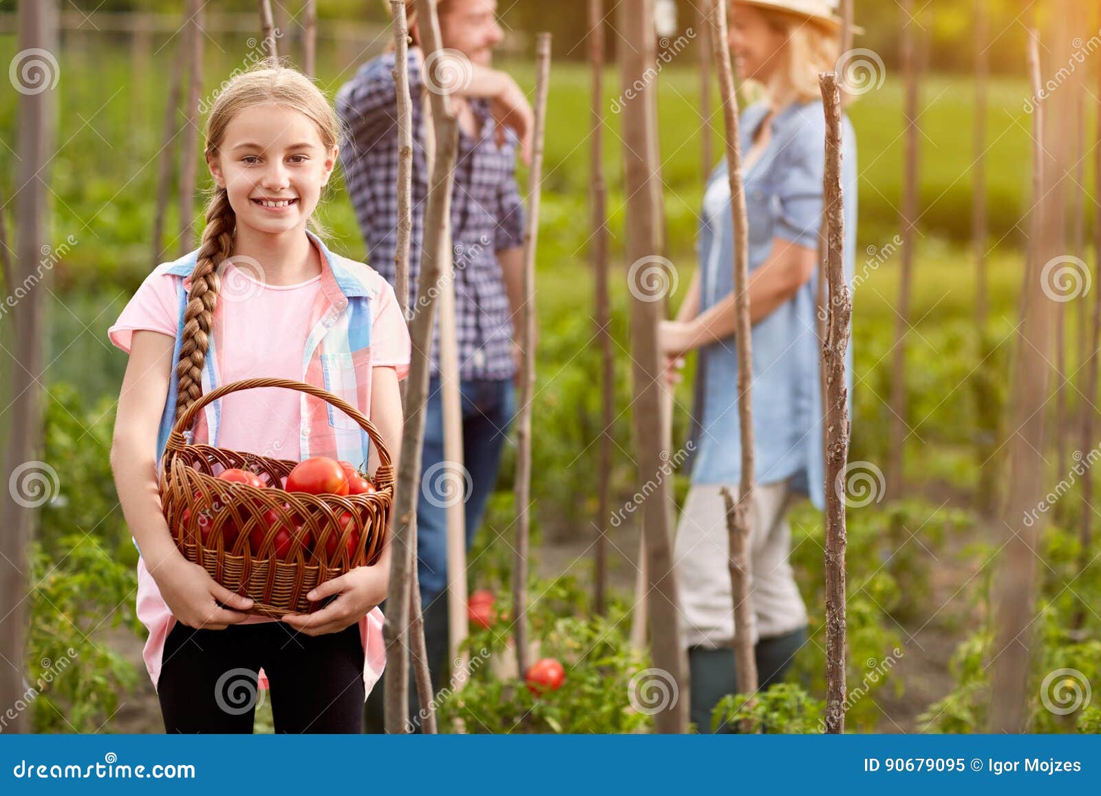 Smiling Girl with Basked Full of Tomatoes on Farm Stock Image - Image ...
