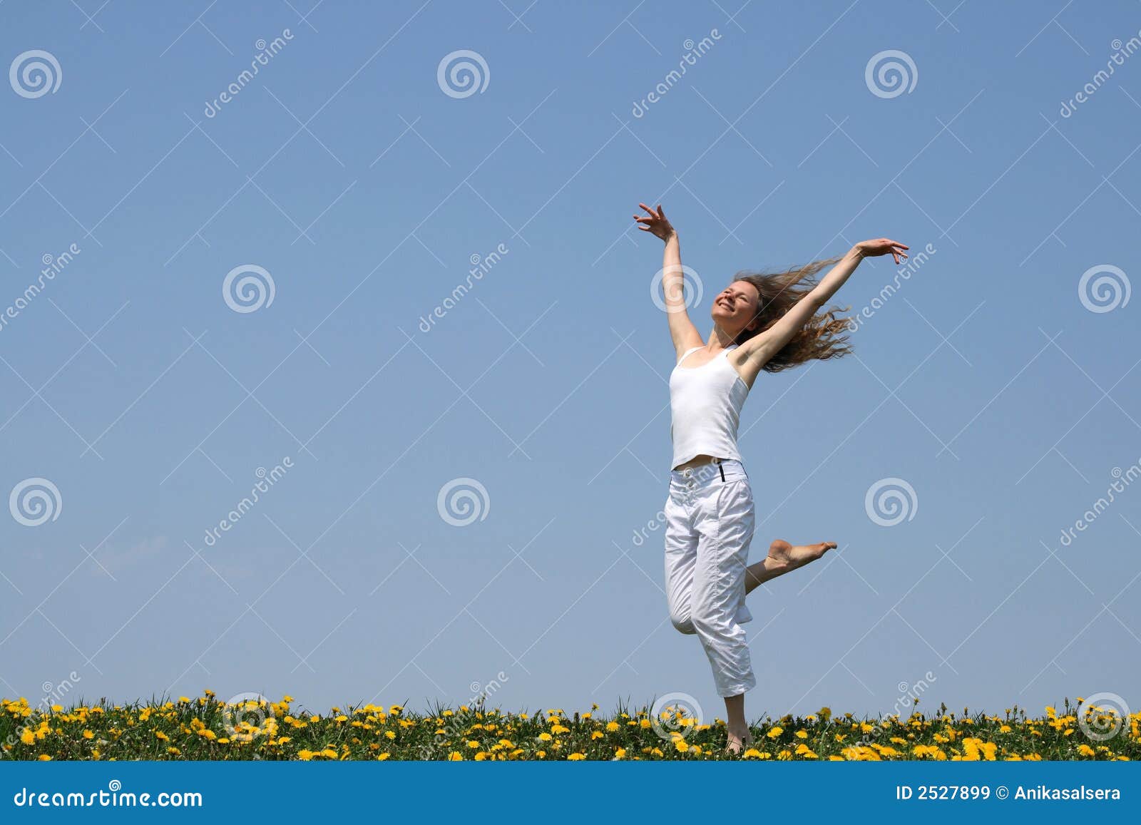 Smiling girl dancing stock image. Image of clear, beautiful - 2527899