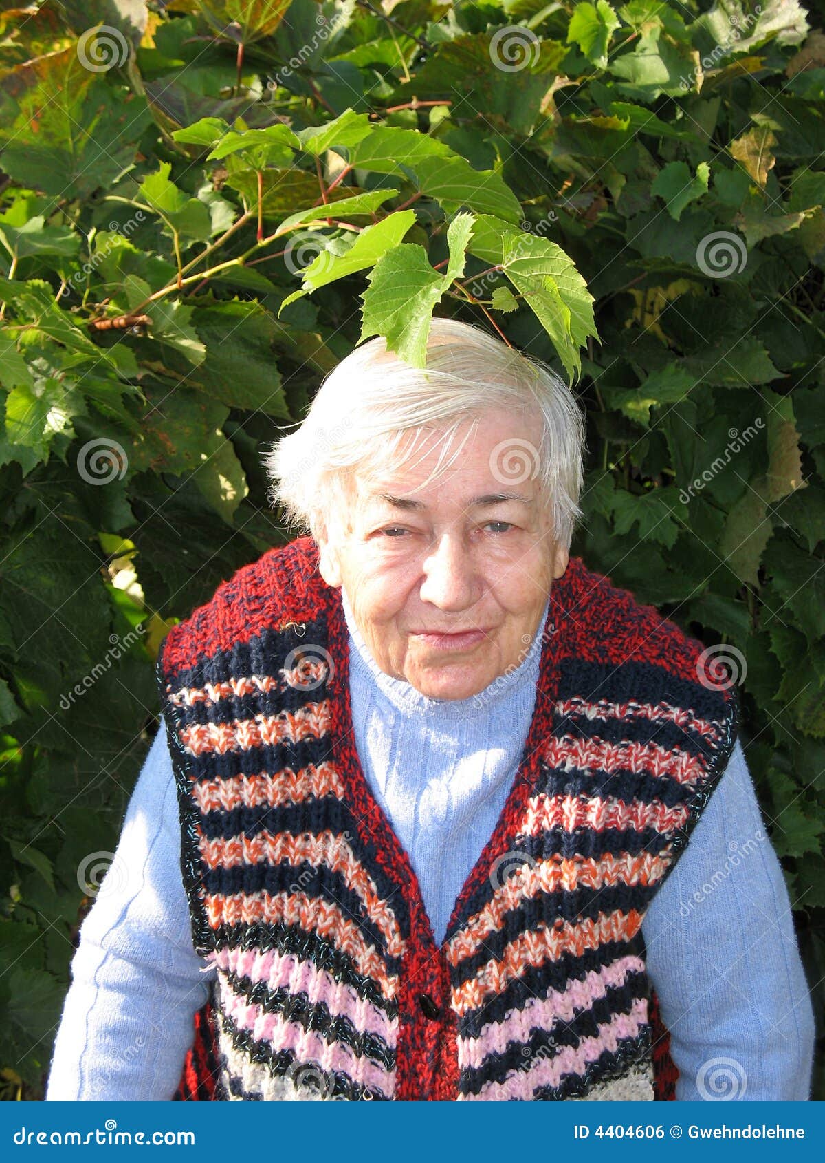 Smiling Grandma stock photo. Image of cardigan, aging - 4404606