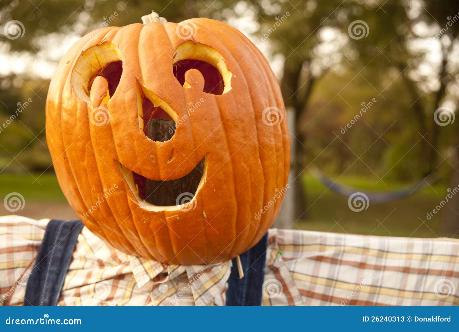 Smiling Halloween Pumpkin Face Stock Image - Image of jocular, pumpkin ...