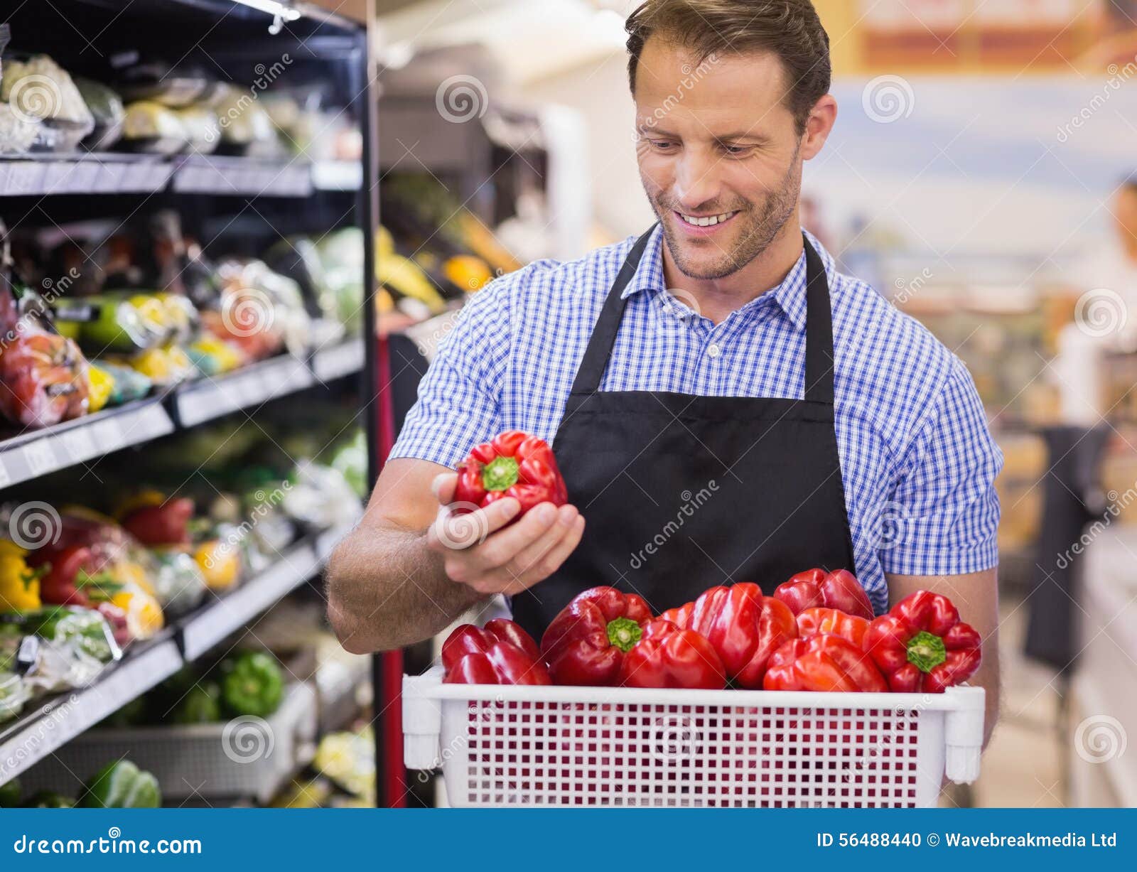 Smiling Handsome Worker Taking a Vegetable on Her Hand Stock Photo ...