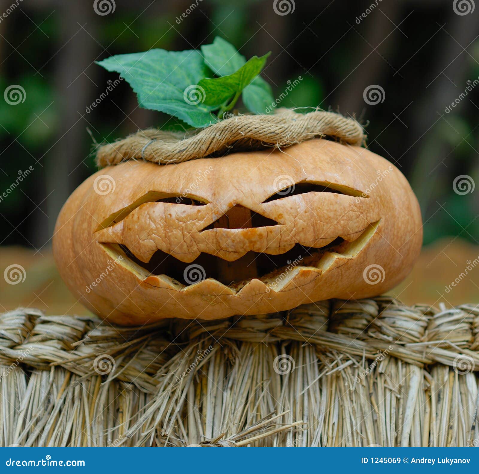 Smiling Helloween Pumpkin stock image. Image of people - 1245069