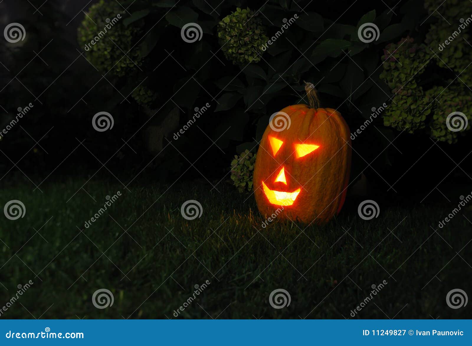 Smiling Jack-O-Lantern stock image. Image of celebration - 11249827