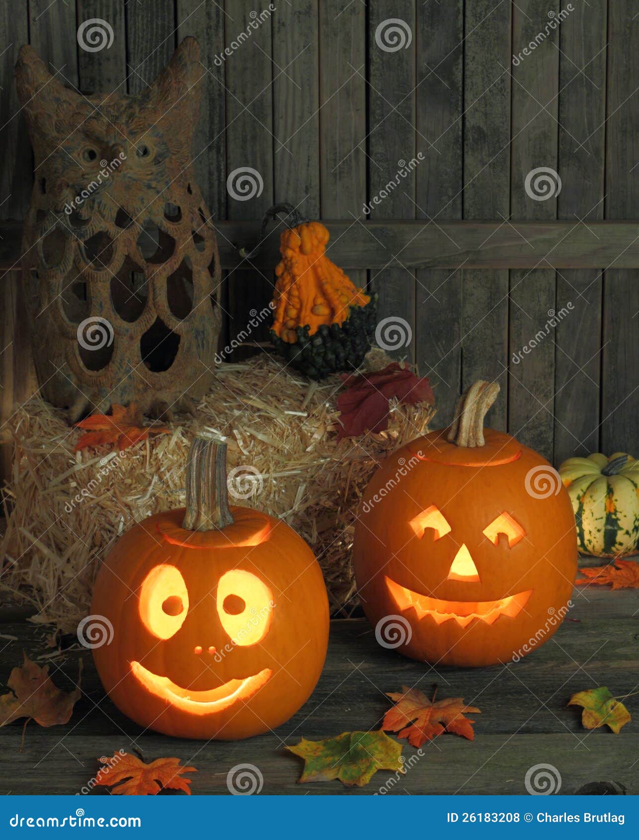 Smiling Jack-o-lanterns stock photo. Image of carved - 26183208