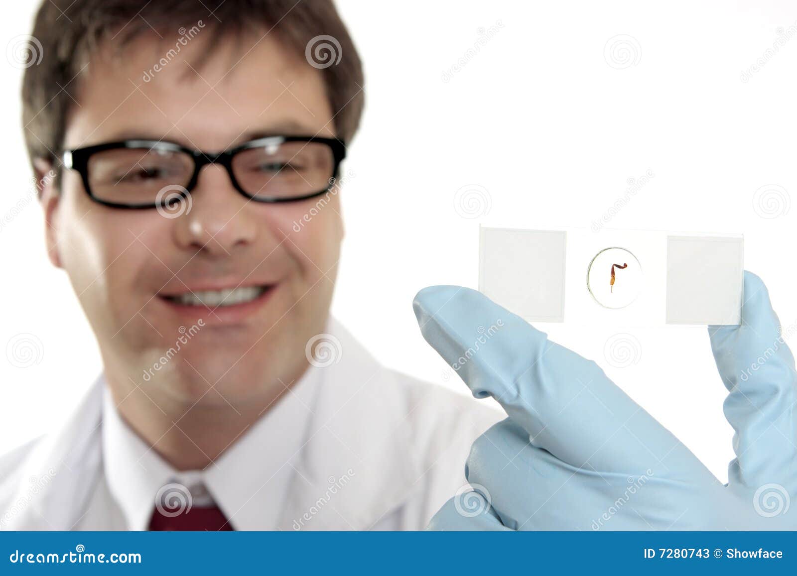 Smiling Lab Worker with Slide Stock Image - Image of specimen, adult ...