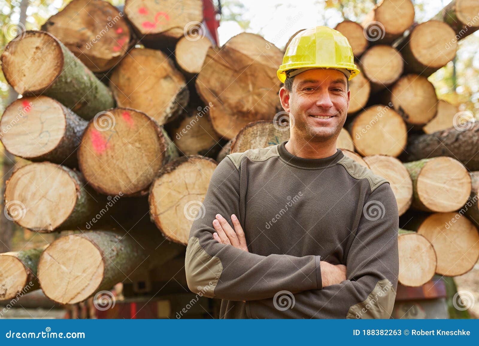 Smiling Lumberjack Transporting Long Wood Stock Image - Image of ...