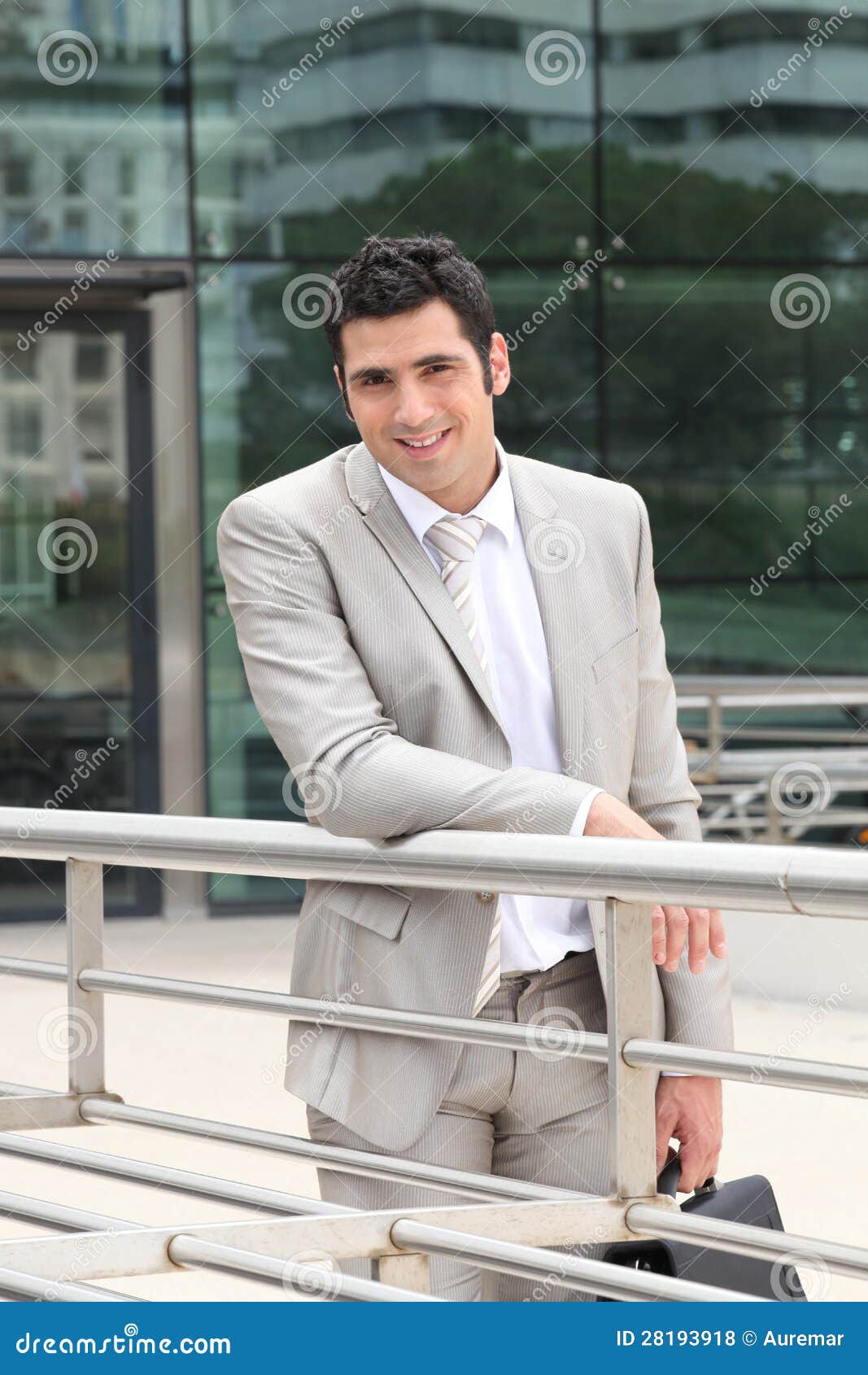Smiling male executive stock photo. Image of portrait - 28193918
