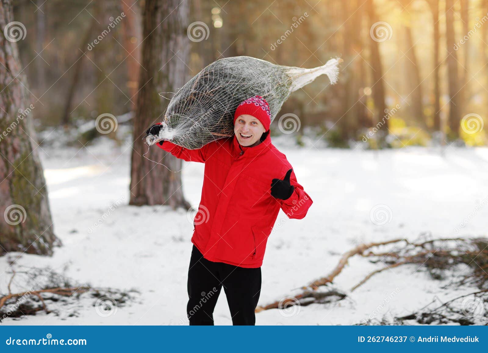 Smiling Man Carrying Freshly Cut Down Christmas Tree In Forest Young
