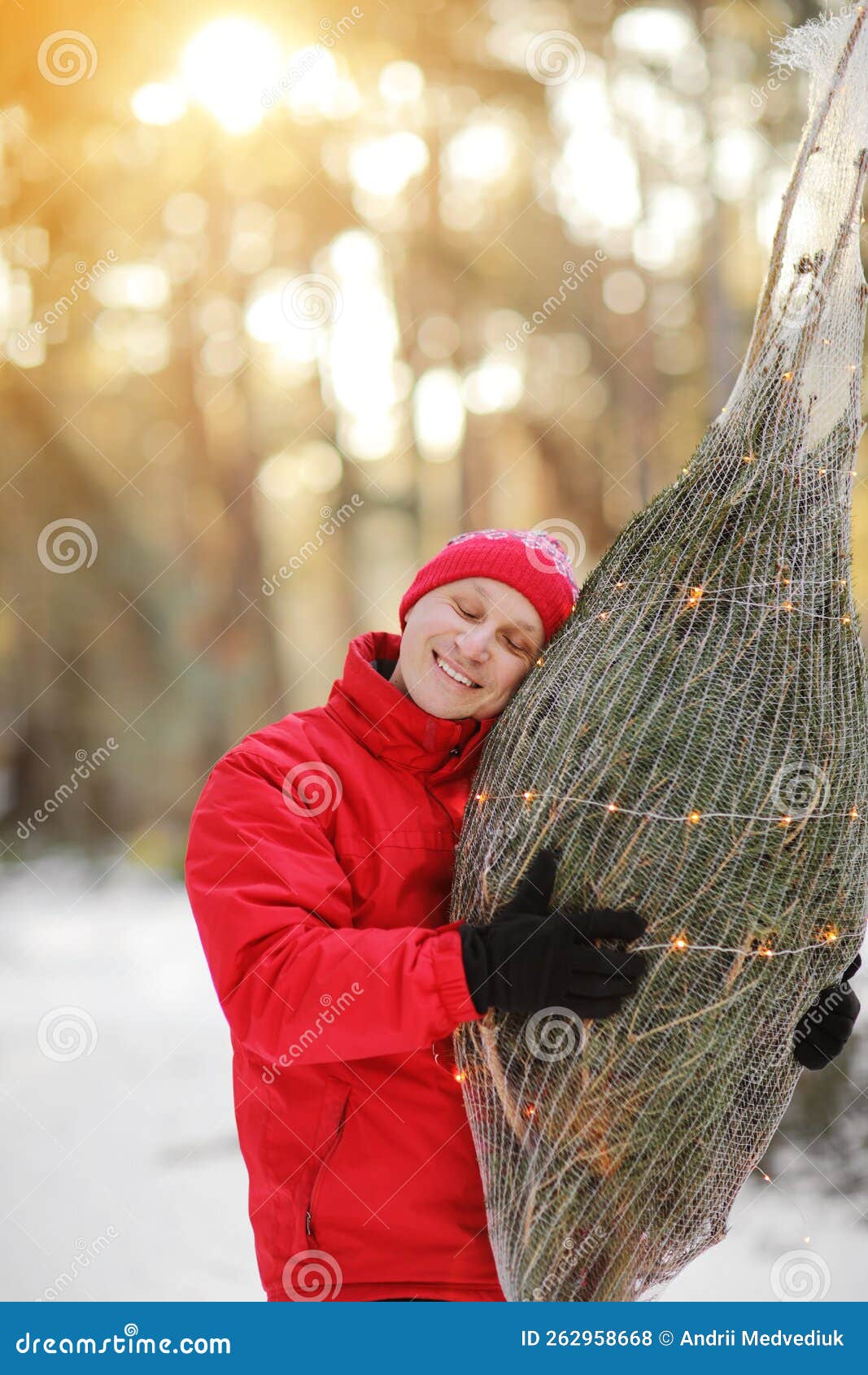Smiling Man Carrying Freshly Cut Down Christmas Tree In Forest Young