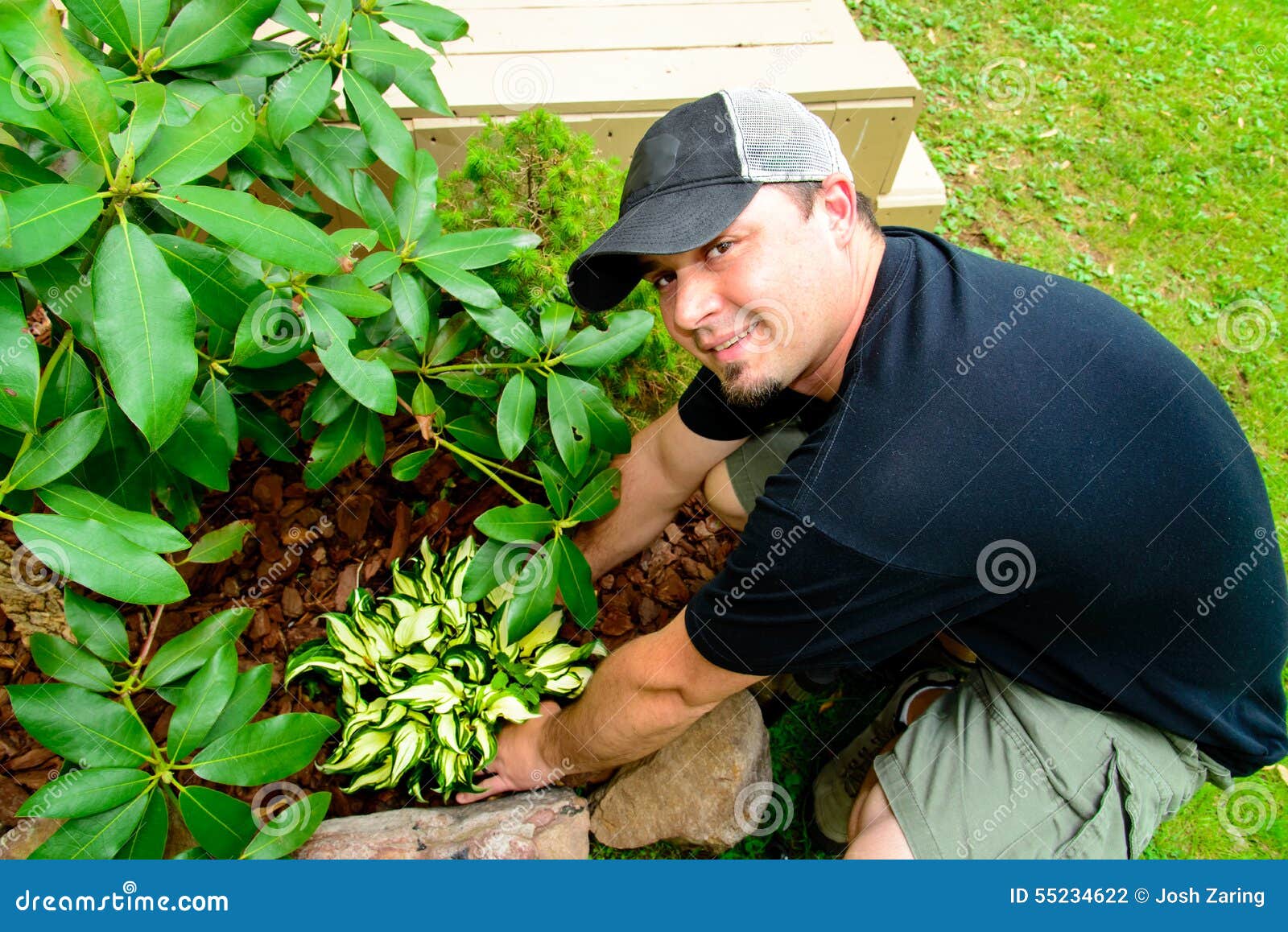 Smiling Man Planting and Landscaping Stock Photo - Image of mulching ...
